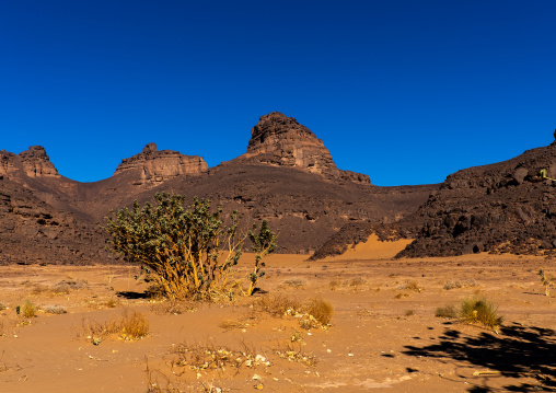 ERIC LAFFORGUE PHOTOGRAPHY - Algeria