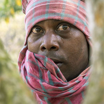 ERIC LAFFORGUE PHOTOGRAPHY - Stories